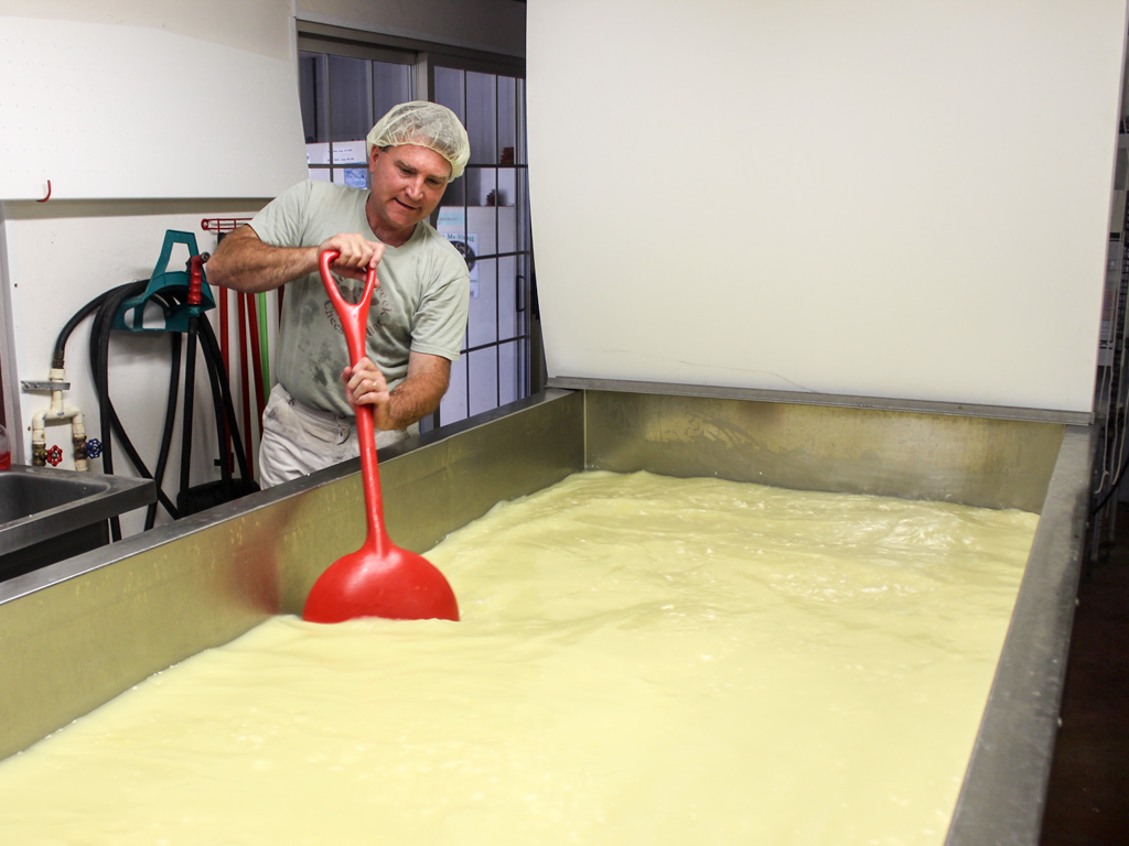 Curds and Whey - How We Make Cheese - Clover Creek Cheese Cellar
